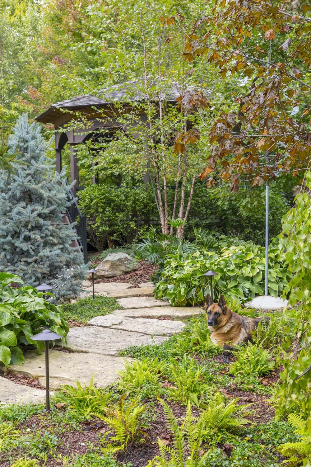 Enhancing Outdoor Space: The Importance Of Landscaping Trees